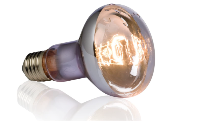 The Best Basking Light for Turtles – A Comprehensive Buying Guide